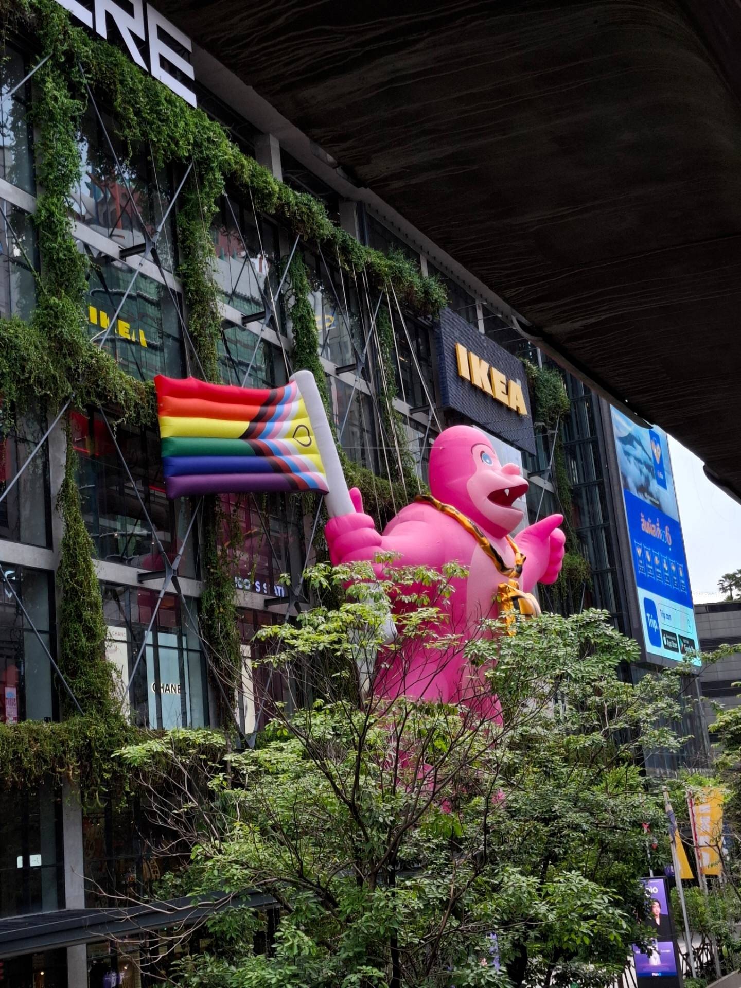 รีวิว mini ミニ oriental speedbar Emsphere - ร้านminimal กาแฟดี 65.-ทุกเมนู