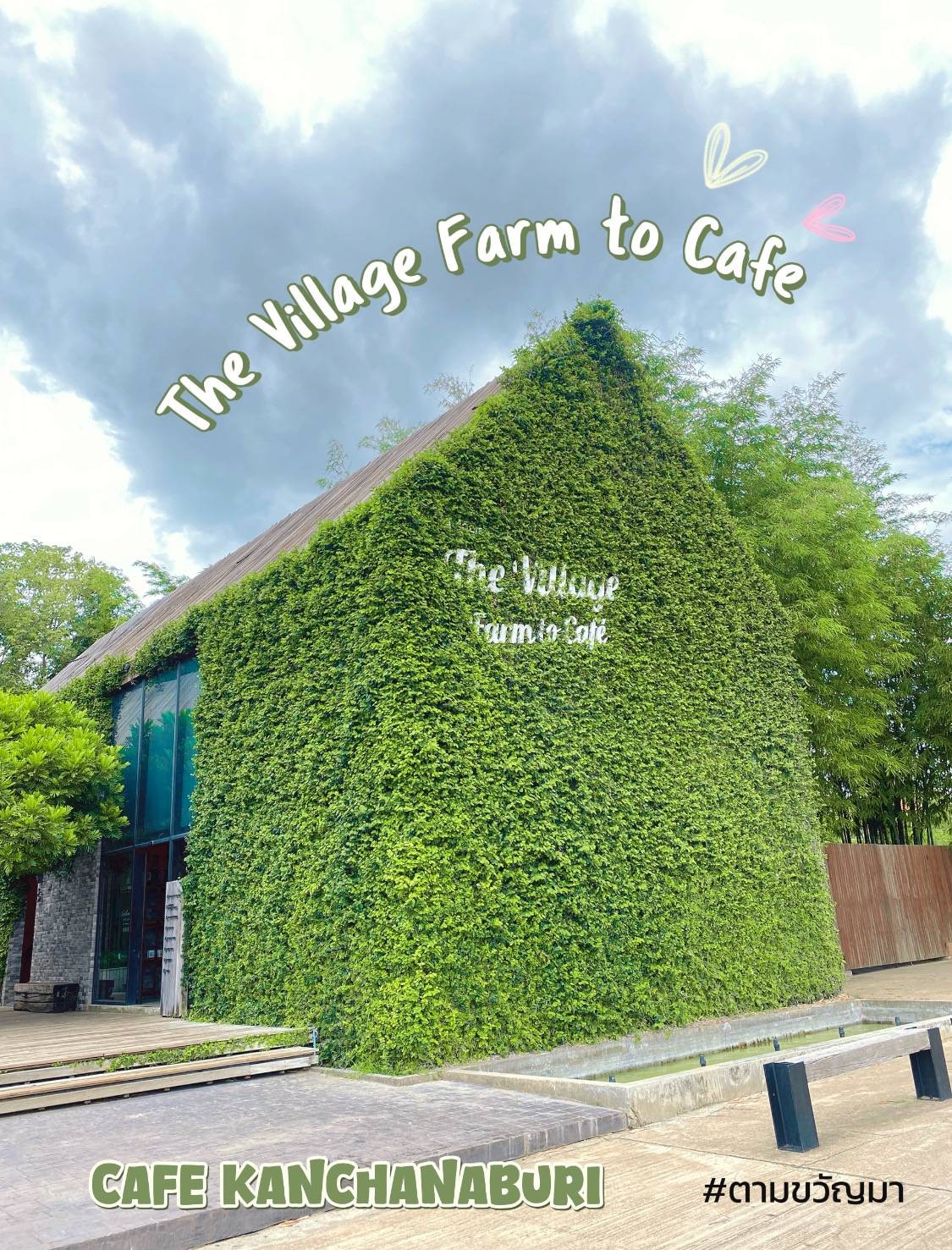 รีวิว The Village Farm To Cafe’ - คาเฟ่ Vibe ดีแห่งกาญจนบุรี