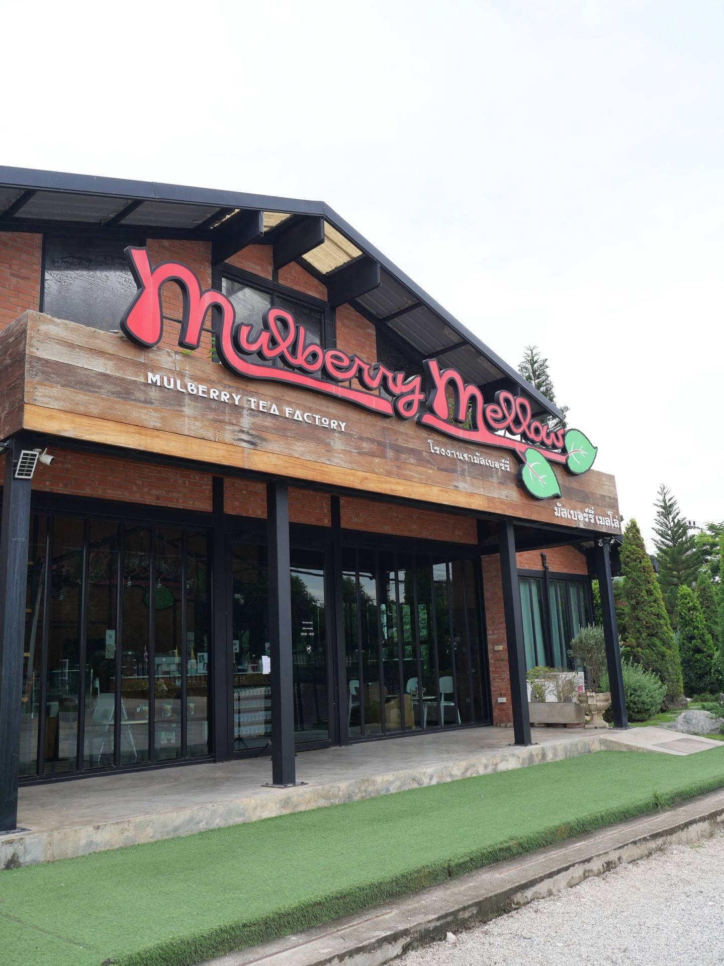 รีวิว Mulberry Mellow แคชเชียร์ร้าน 1 - ร้านที่บรรยากาศดีมาก
