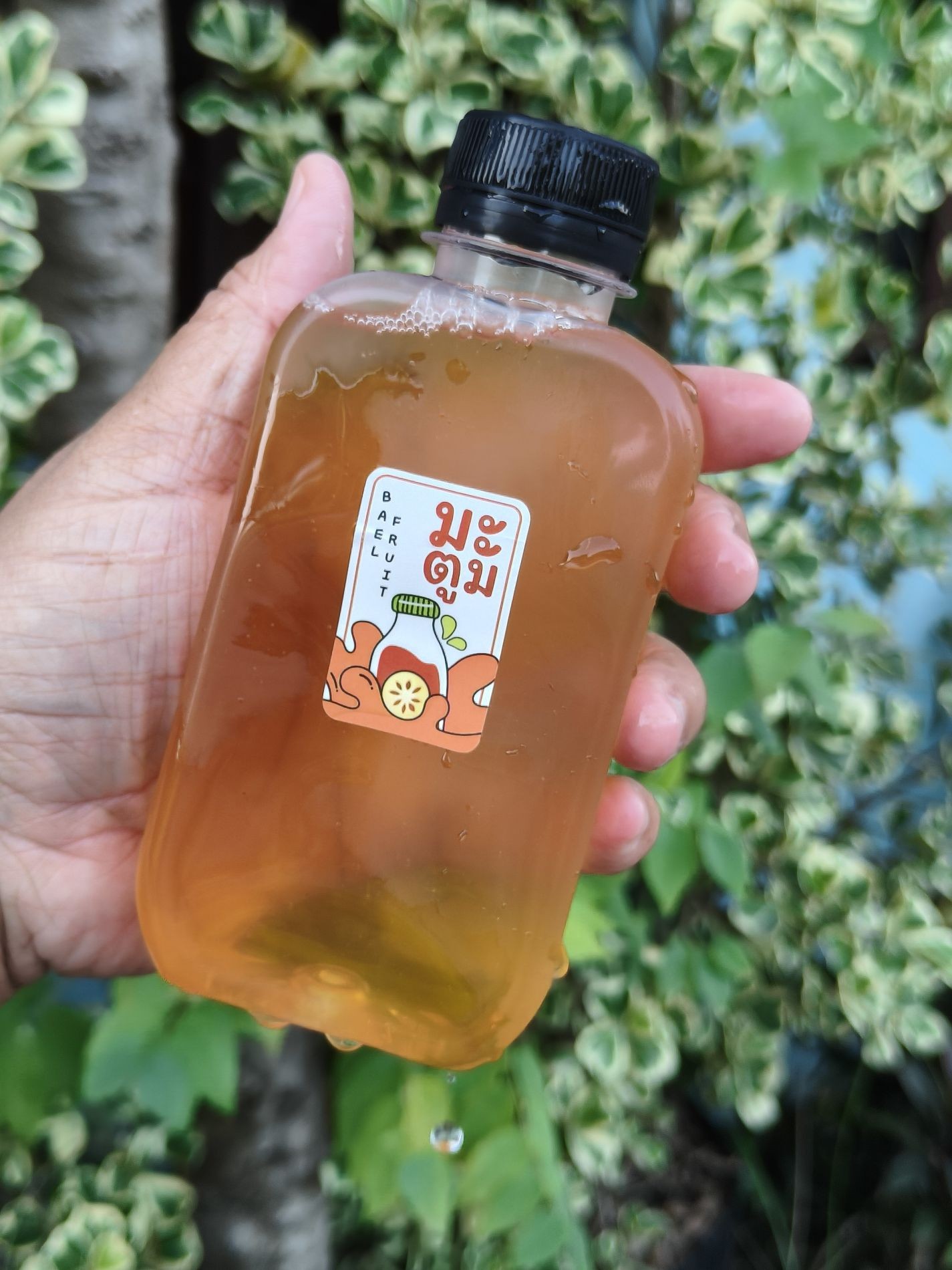 Owl house Cafe บ้านนกฮูก คาเฟ่ - สั่งอาหารเดลิเวอรี | Wongnai x LINE MAN