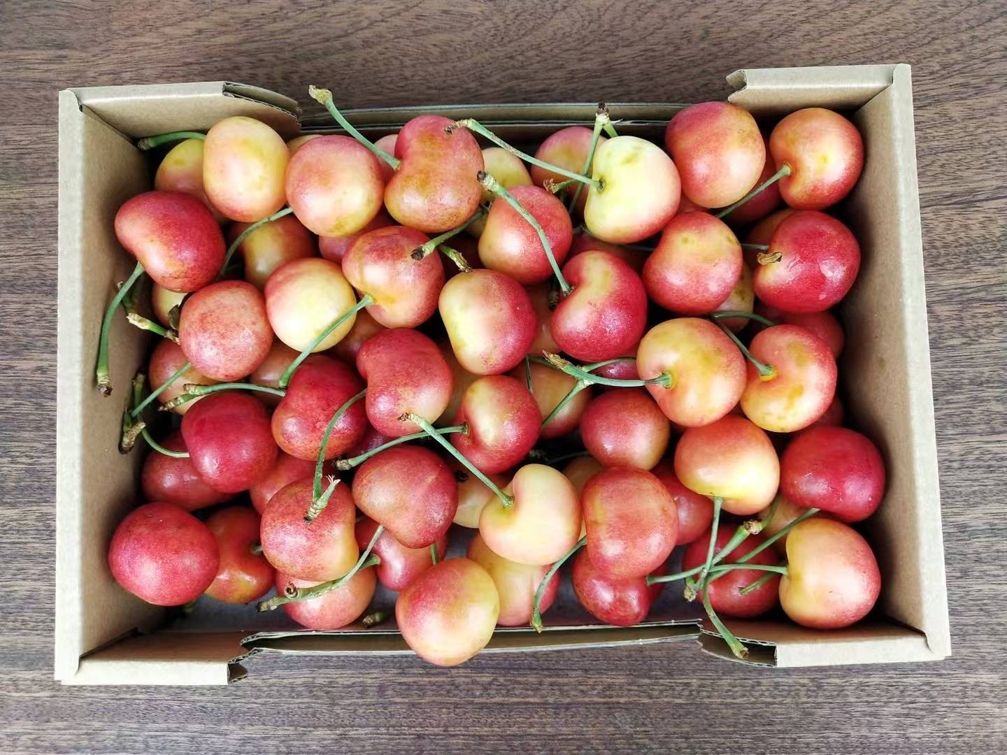 ร้าน Bring Fruit