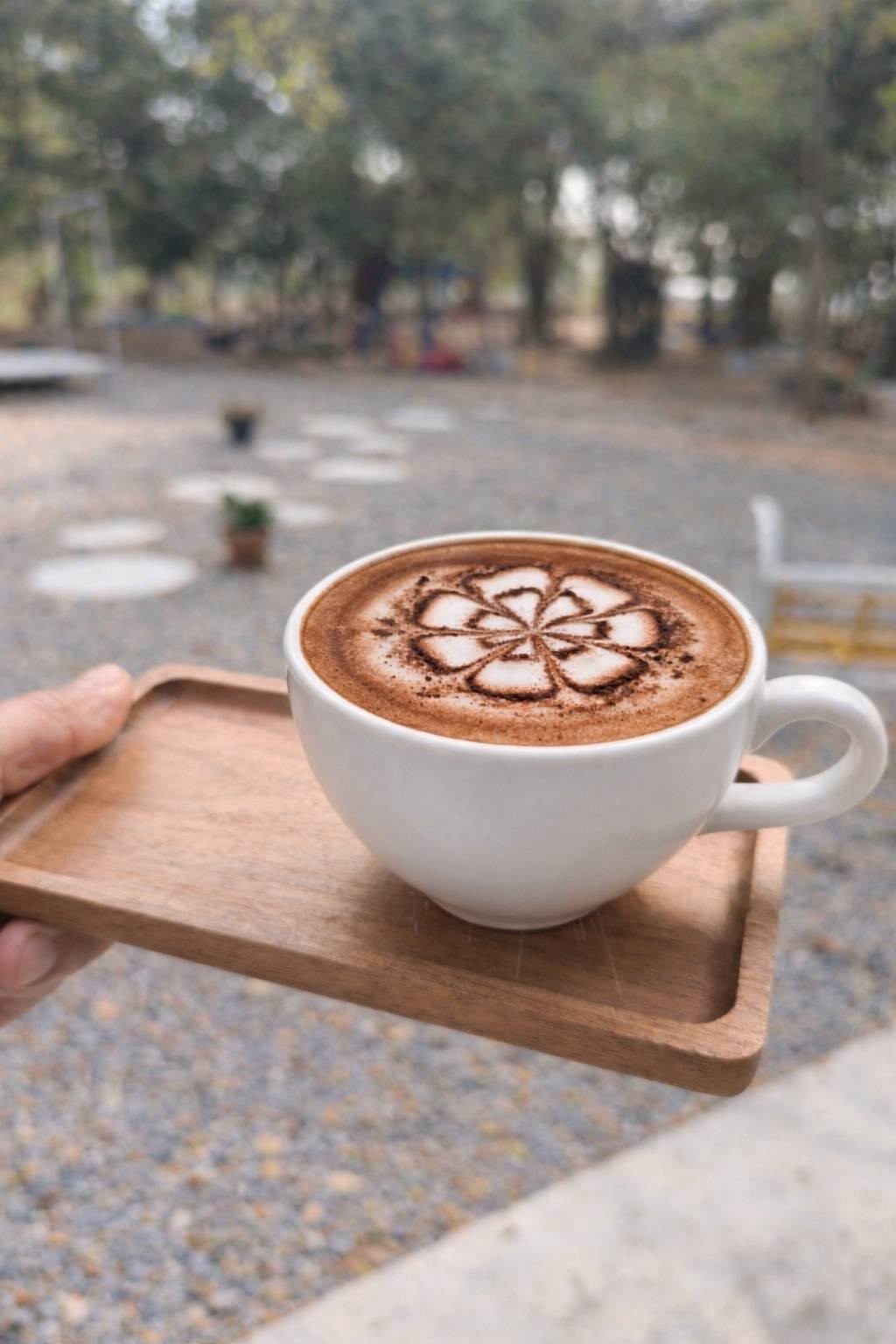 ร้าน CAMP CAFE สวน ปู่ ป๋อง สวน ปู่ ป๋อง | รีวิวร้านอาหาร