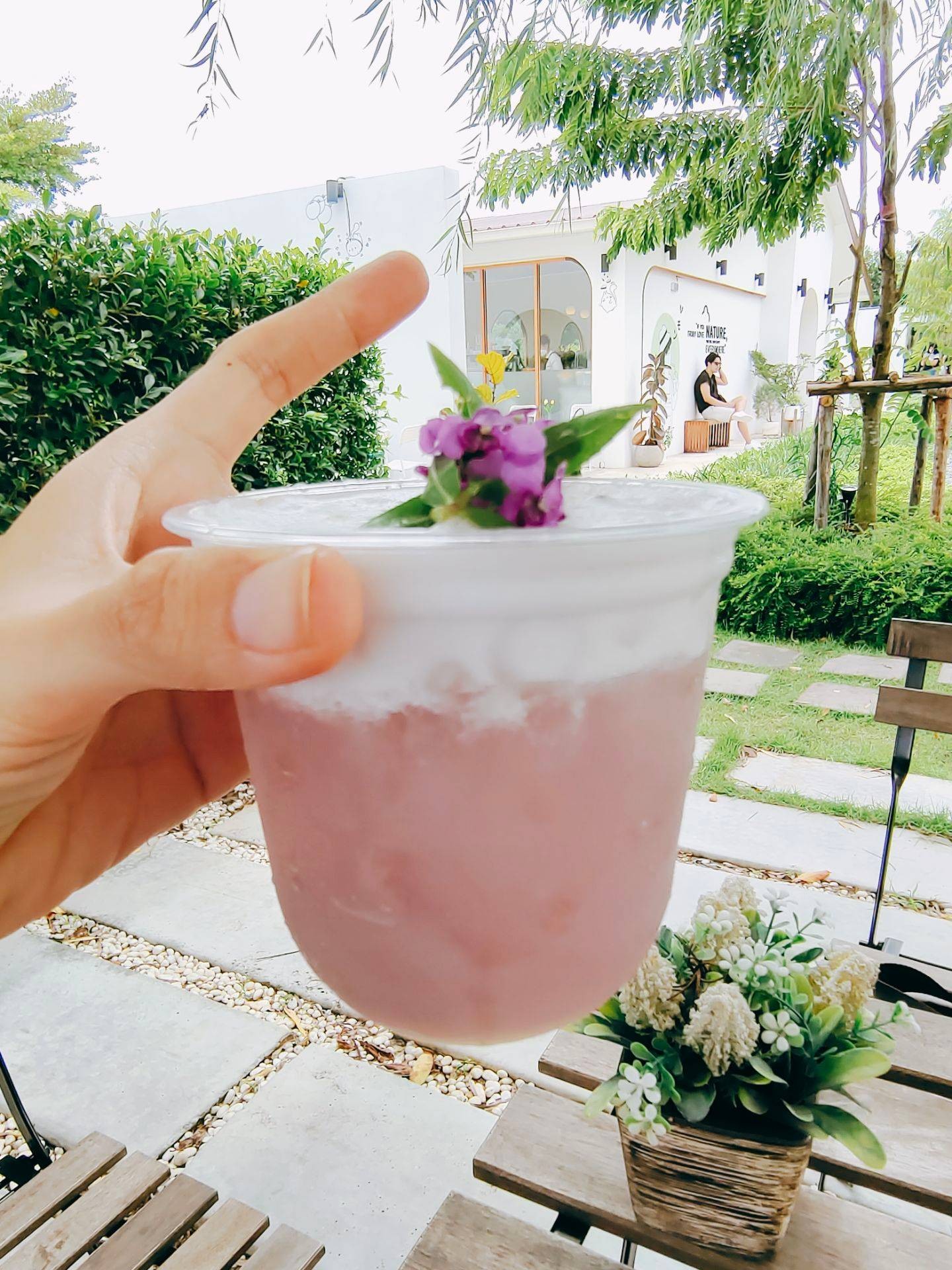 รีวิวที่แนะนำ Magic Sour Flower