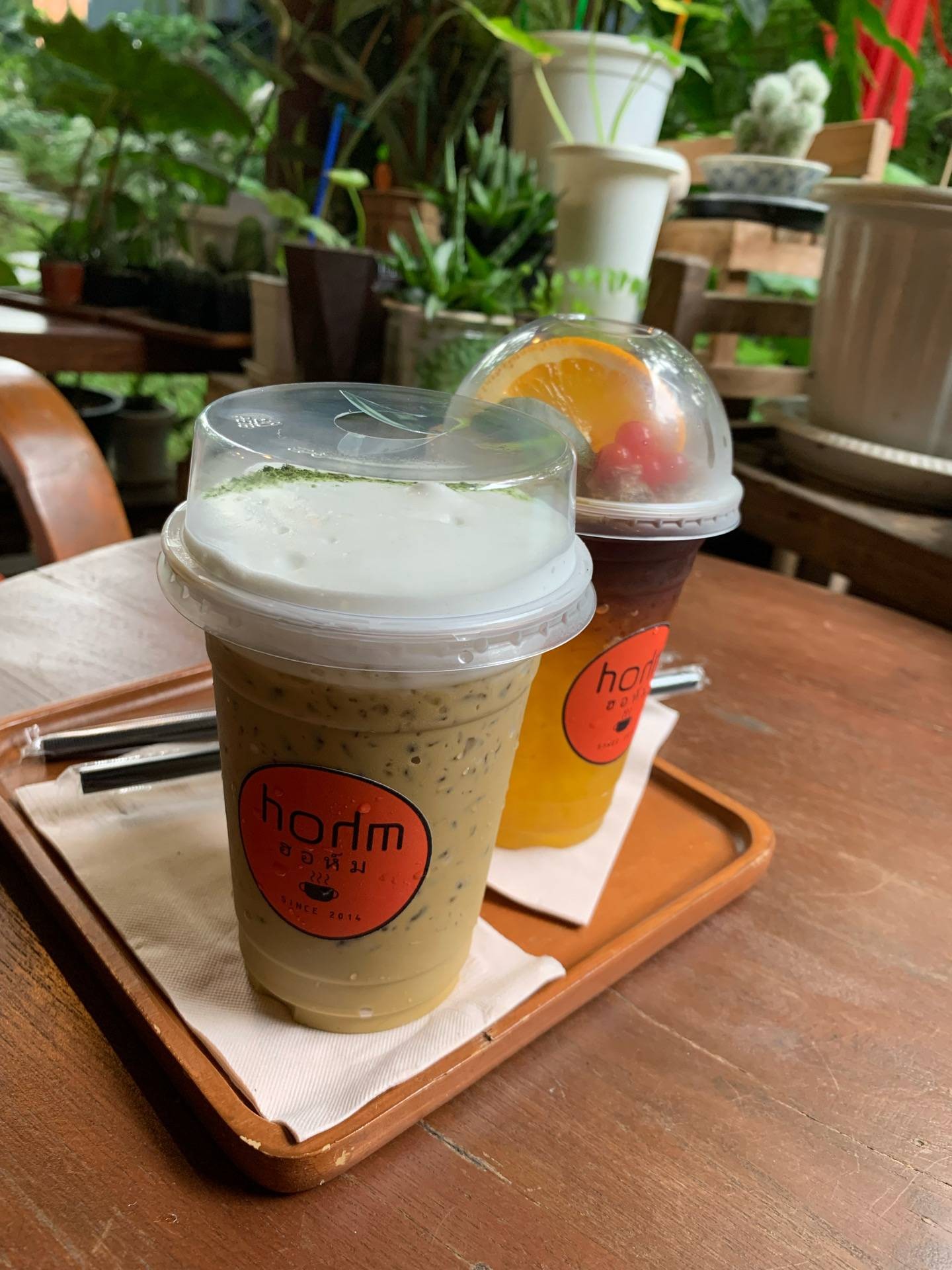 รีวิวที่แนะนำ Military tea (ชาทหาร) / Mexicano