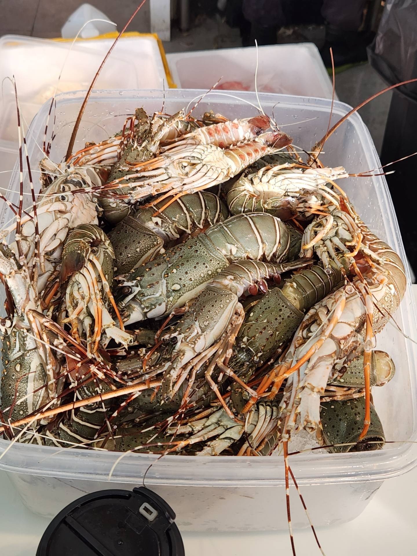 รีวิวที่แนะนำ Lobster