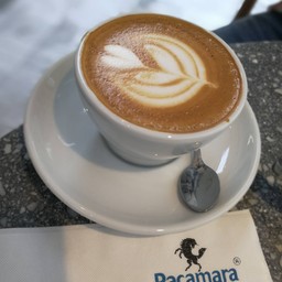[รีวิว] ร้าน PACAMARA Thonglor 25 | เมนูแนะนำ รูปภาพ ราคา - Wongnai