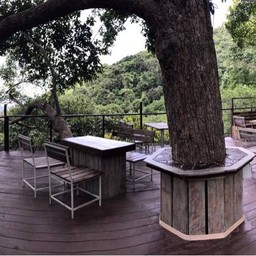 ร้าน Tree Bridge Coffee | รีวิวร้านอาหาร - Wongnai