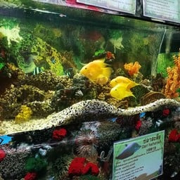 Monster Aquarium - รีวิวสถานที่ท่องเที่ยว