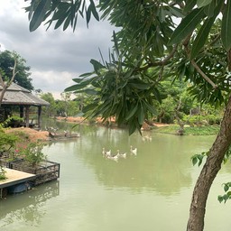 Sensei Farm - รีวิวสถานที่ท่องเที่ยว - Wongnai