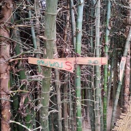 ร้าน Sloth Caffe Slowbar | รีวิวร้านอาหาร - Wongnai