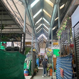 ตลาดมีนบุรี (Minburi Market) - รีวิวสถานที่ท่องเที่ยว - Wongnai