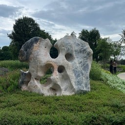 ร้าน U Forests cafe ระยอง | รีวิวร้านอาหาร