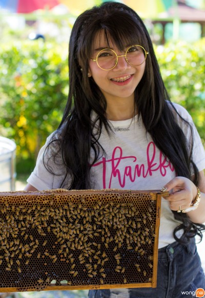 เที่ยวสวนผึ้งหาดใหญ่ Big Bee Garden ชมธรรมชาติกลางใจเมือง เข้าชมฟรี!