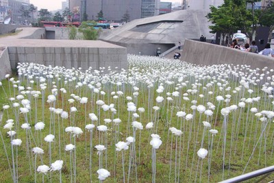 LED Rose Garden @DDP - รีวิวสถานที่ท่องเที่ยว