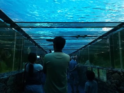 Monster Aquarium - รีวิวสถานที่ท่องเที่ยว