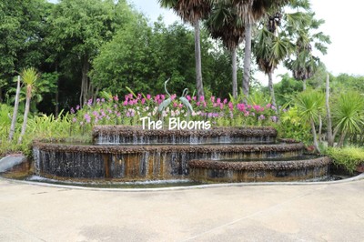 รูป The Blooms Orchid Park