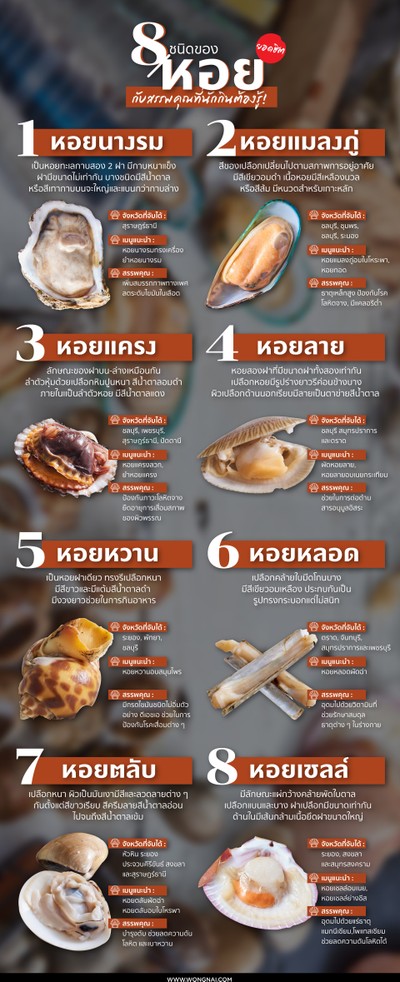 8 ชนิดของหอยยอดฮิต แง้มฝาหาความจริง กับสรรพคุณที่นักกินต้องรู้!