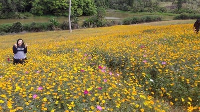 ไร่ บี.เอ็น. (B. N. Farm) - รีวิวสถานที่ท่องเที่ยว