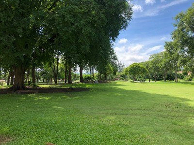 Hakuna Matata Nature Resort - รีวิวที่พัก - Wongnai