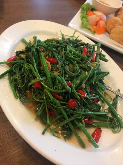 ผัดยอดมะระ ร้าน สมบูรณ์โภชนา รัชดา - Wongnai