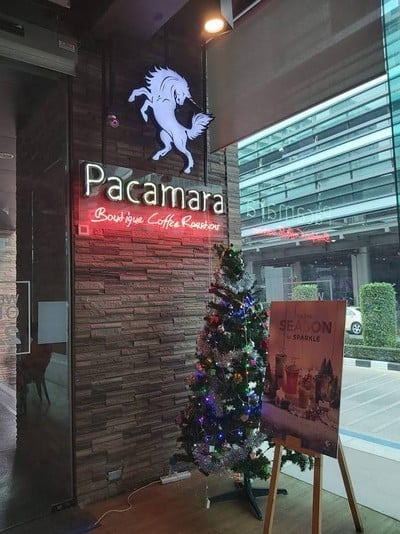 รูป PACAMARA หอสมุดคณะแพทยศาสตร์ จุฬาลงกรณ์มหาวิทยาลัย