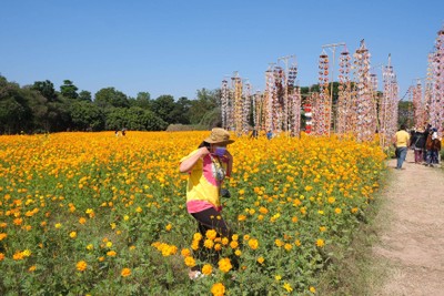 รูป Jim Thompson Farm - Wongnai
