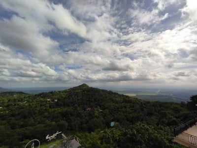 รูป ภูนางฟ้า Angel Hill Cafe เขายายเที่ยง