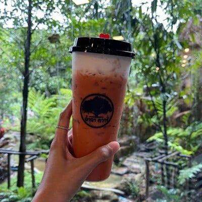 รีวิว Chamcha Cafe พิจิตร - 𝐂𝐡𝐚𝐦𝐜𝐡𝐚 𝐂𝐚𝐟𝐞 🌳 คาเฟ่เปิดใหม่ย่านชานเมืองพิจิตร นั่งจิบชา ชมวิว ...