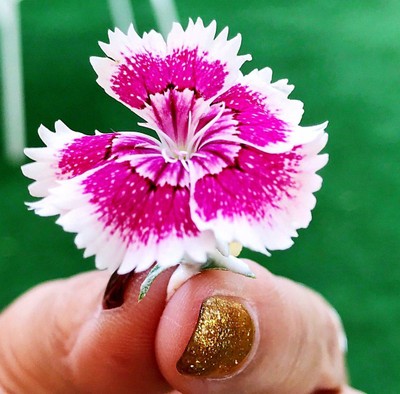 [รีวิว] ร้าน Come Escape Cafe Come escape cafe | เมนูแนะนำ รูปภาพ ราคา ...