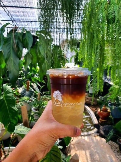 ร้าน Soythong Cafe' | รีวิวร้านอาหาร