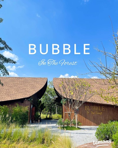 รูป BUBBLE IN THE FOREST - Wongnai