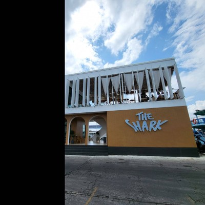รูป The shark cafe
