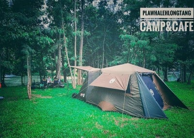 รูป ปลาวาฬหลงทาง Camp&café