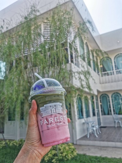 Pink and green ร้าน FAREST CAFE & RESTAURANT ฟาร์เรสท คาเฟ่ แอนด์ ...