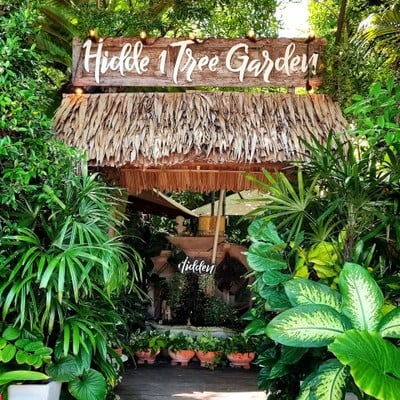 รูป Hidden Tree Garden Specialty Coffee