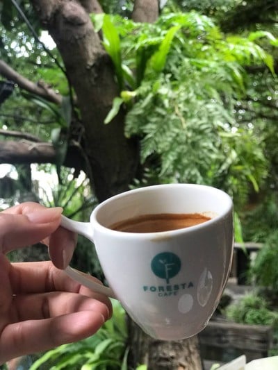 Hot Espresso • อวดโลโก้ร้านนะ ร้าน FORESTA CAFE ดอนเมือง - Wongnai