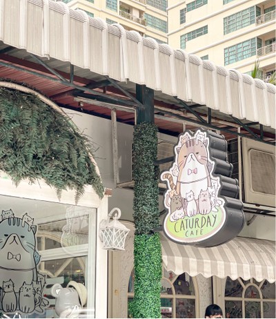 รูป Caturday cat cafe