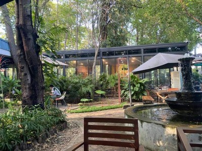 รูป Cafe de' Forest สำนักงานป่าไม้ - Wongnai