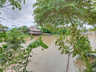 รูป BUA Riverside ผัดไทย กุ้งแม่น้ำเผา