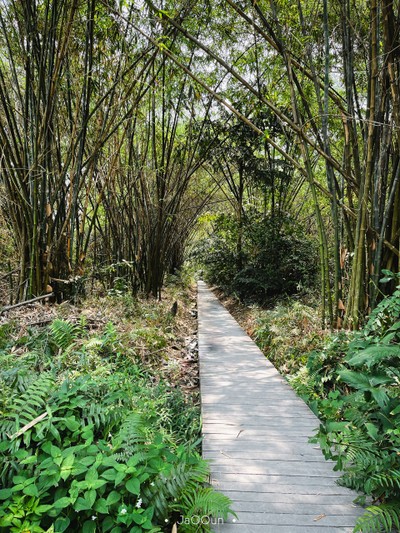 รูป Little Tree Garden บ้านใหม่ - Wongnai