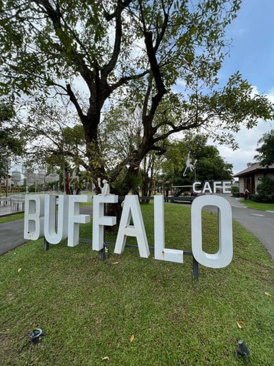 รูป The Buffalo Cafe'