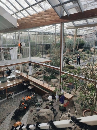 รูป Botanist Activity Space & Cafe - Wongnai