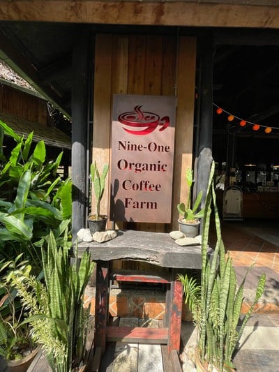 รีวิว Nine One Coffee Organic Farm ริมธารบ้านเมี่ยง - ร้านนี้เป็นร้าน ...
