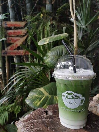 ร้าน Sloth Caffe Slowbar | รีวิวร้านอาหาร - Wongnai