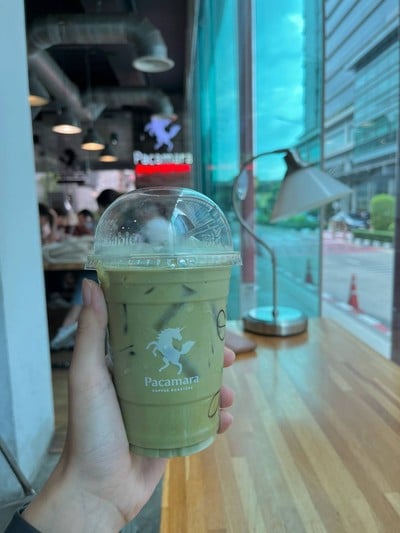 Iced Japanese Matcha Latte • ถือให้เห็นขนาดแก้ว ร้าน PACAMARA หอสมุดคณะแพทยศาสตร์ จุฬาลงกรณ์ ...