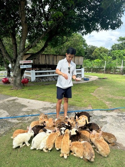 รูป Khao Yai Farm Village