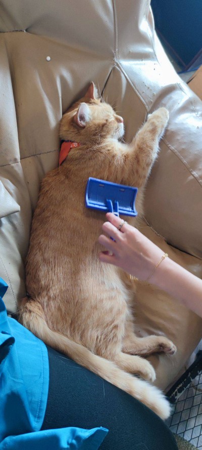 รูป Cazz Cafe - แคซคาเฟ่ สุขุมวิท พระโขนง