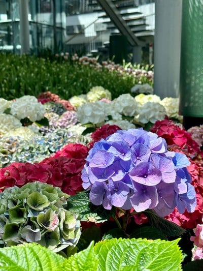 รูป Flora Exhibition Hall