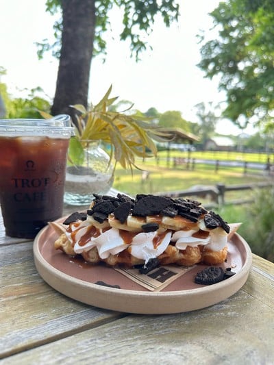 เพิ่มรูปแนะนำ