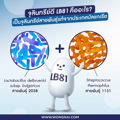 รู้จักจุลินทรีย์ดี LB81 คนคุมเกมในลำไส้ ขับถ่ายดี ผิวดี เริ่มต้นที่นี่